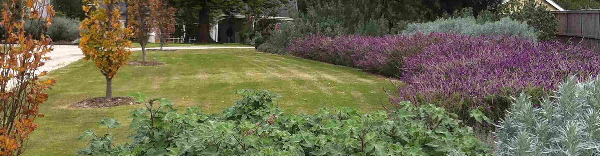 Garden Design & Landscape Design Projects | Perry Mills